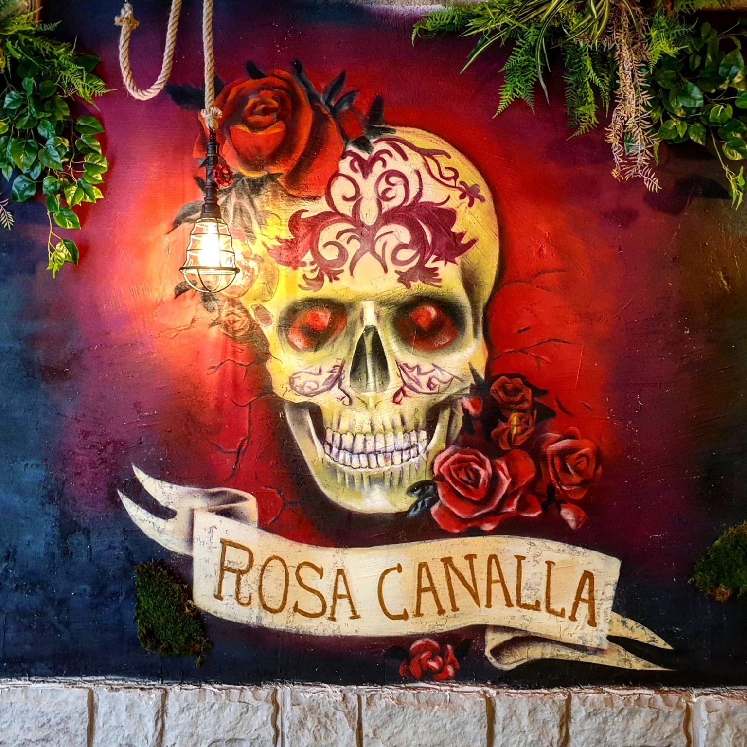 Bar Rosa Canalla